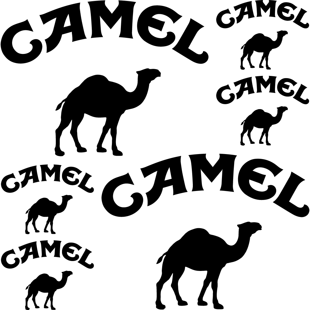Wallstickers folies : camel Decal Stickers kit